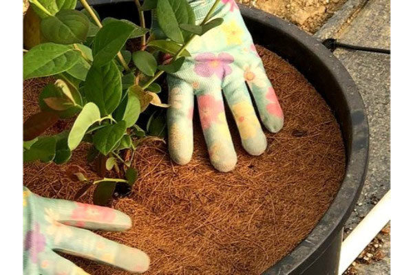 Coir Weed Mat | Bio Substrates Ceylon Coco Peat