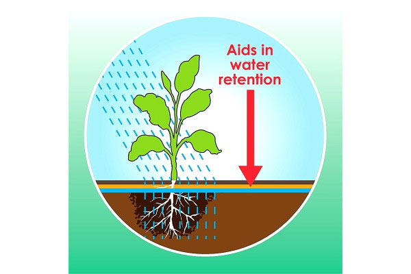 Coir Weed Mat | Bio Substrates Ceylon Coco Peat