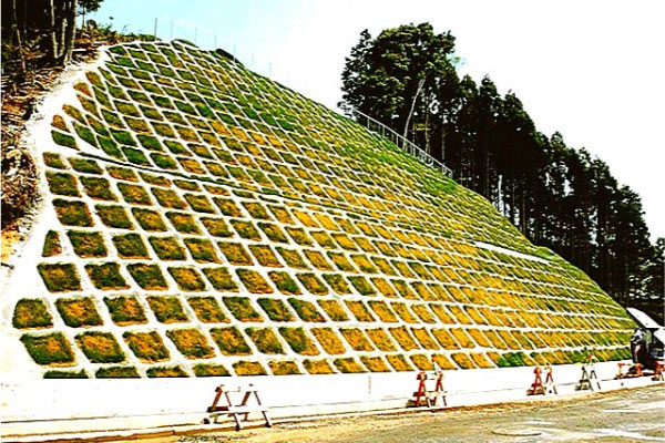 Erosion Control Blanket | Bio Substrates Ceylon Coco Peat